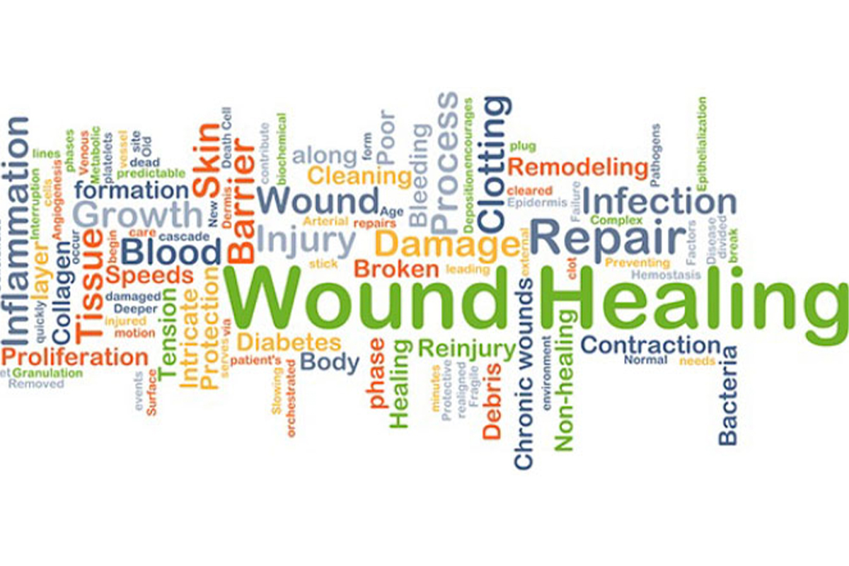 Grant Opportunities in Los Angeles, CA | Wound & Burn Centers